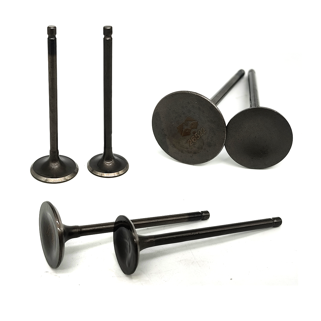 VALVULA BOXER150/DISCOVER125 4010050 – Ecomotos