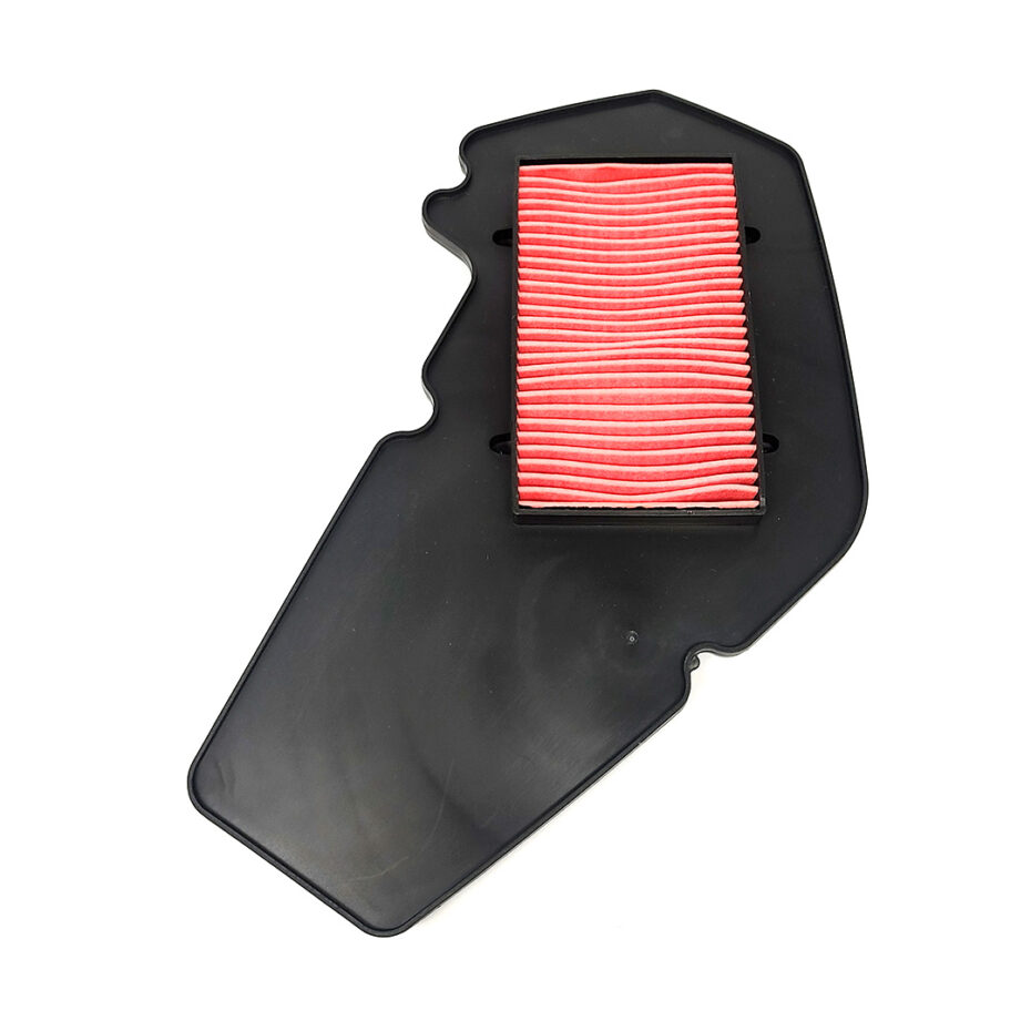 FILTRO AIRE DAYAN 150 – Ecomotos