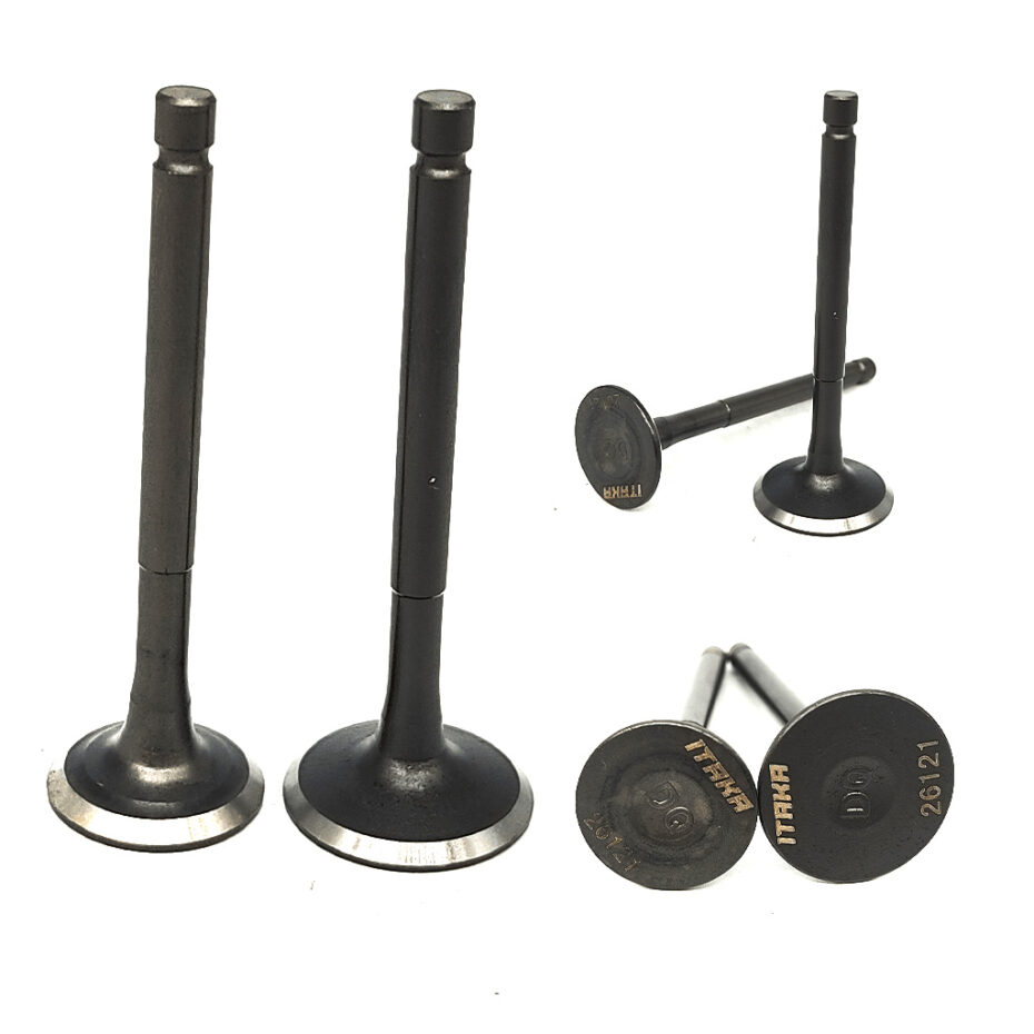 VALVULA YD110/LIBERO CRUX (DQ) – Ecomotos